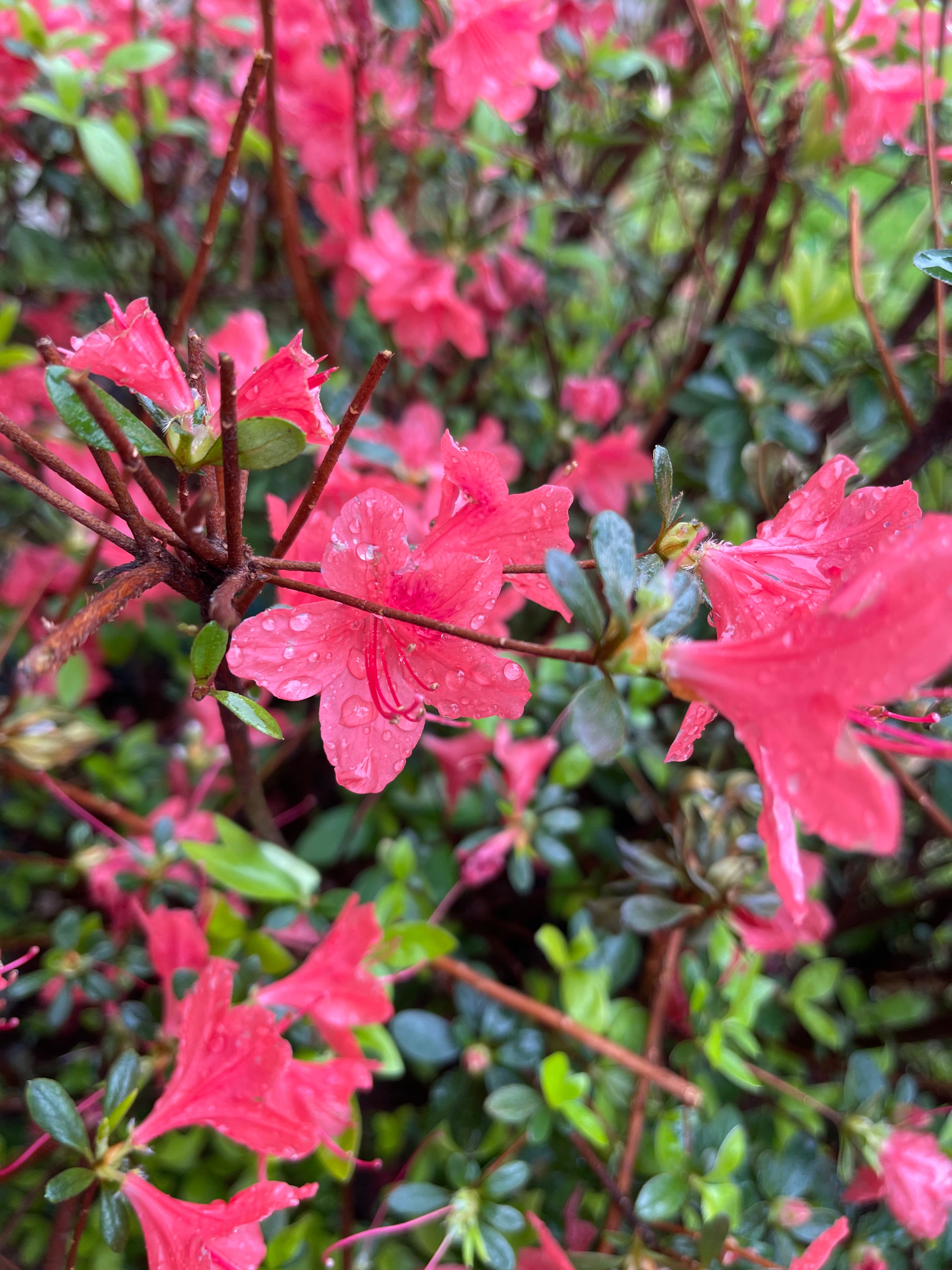 KMK Custom Creations